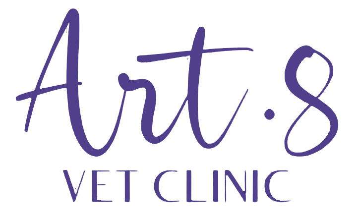 Surgery | Art 8 Vet